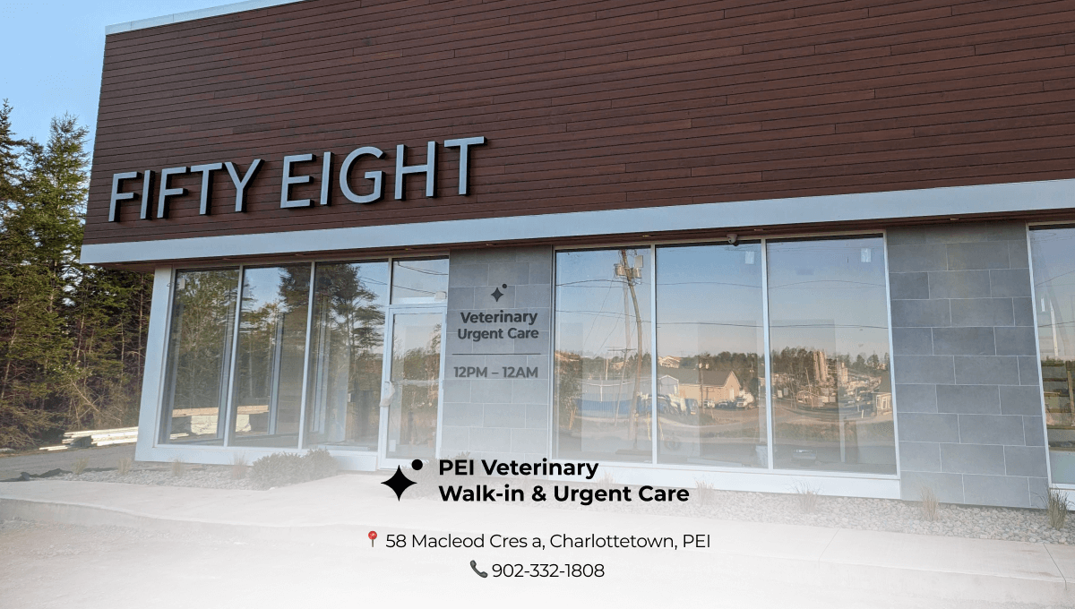 Melanie | PEI Veterinary Walk-in & Urgent Care